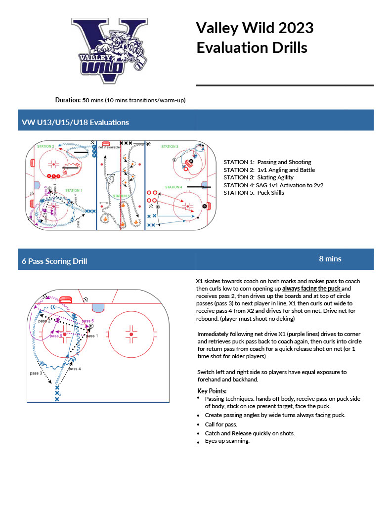 Tryouts 2024-2025 | Valley Wild Female Hockey Association
